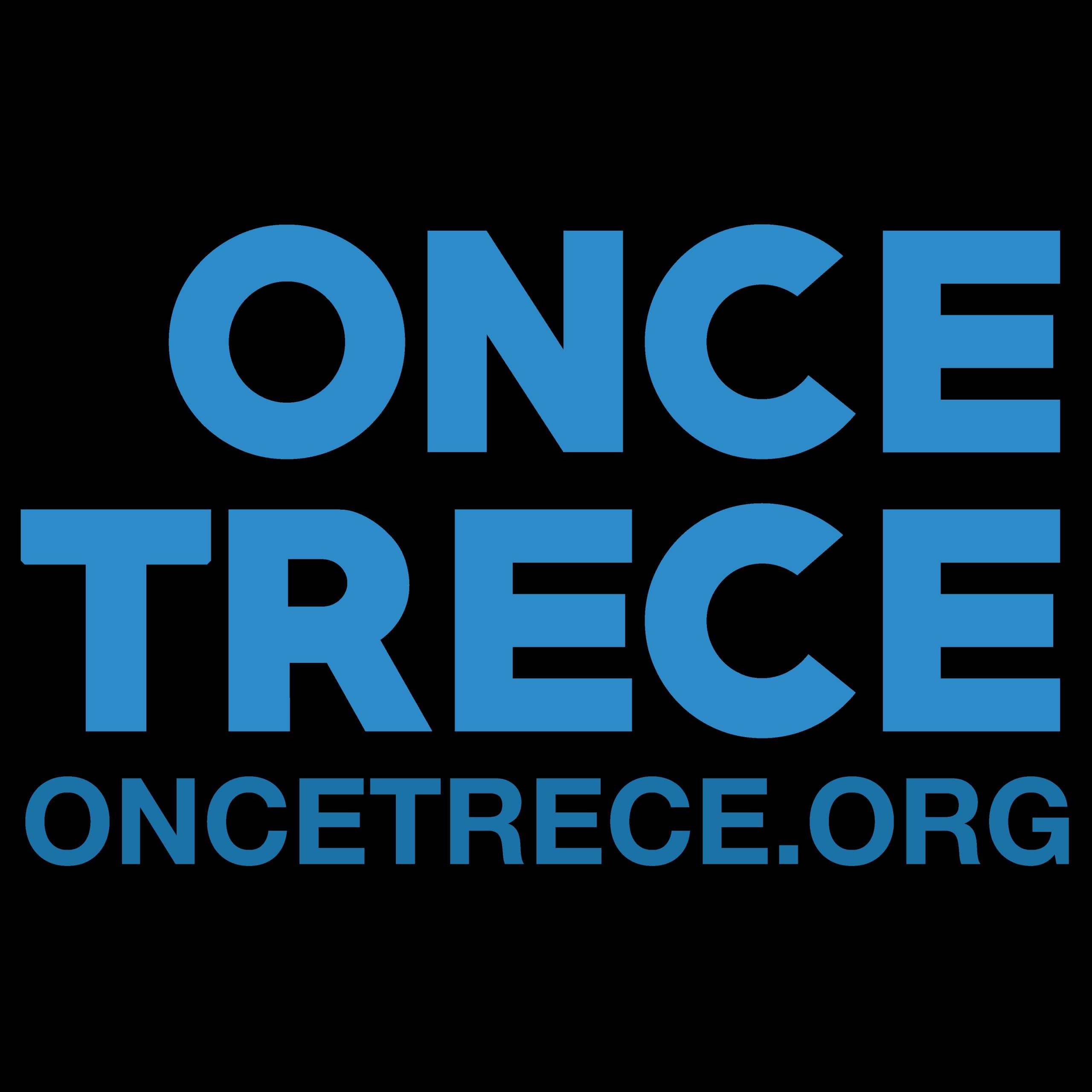 Once Trece reprograma el Festival “Suena La VIHda 2025” - IP Media Group