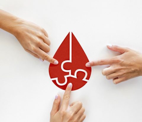 Donar sangre: El proceso biológico que oxigena y renueva tu salud - IP ...